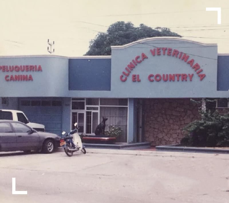 Sobre Nosotros | Clinica Veterinaria El Country
